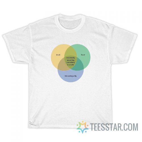 Incel Excel Incorrectly Assuming Something T-Shirt - Teesstar.com