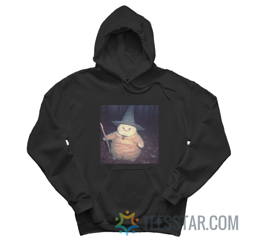 Cat Cheeseball The Wizard Hoodie For Unisex - Teesstar.com
